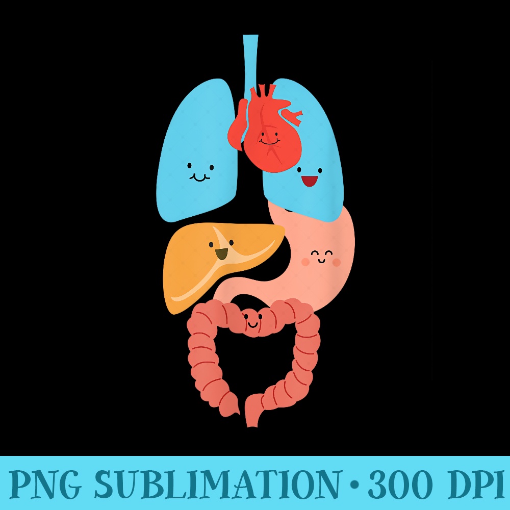 body organs clipart - Inspire Uplift
