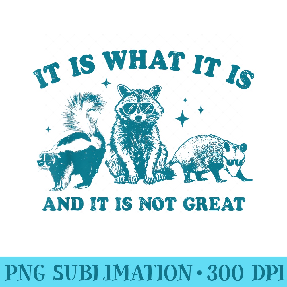 It Is What It Is And It Is Not Great Raccoon Trash Panda - S | Inspire ...
