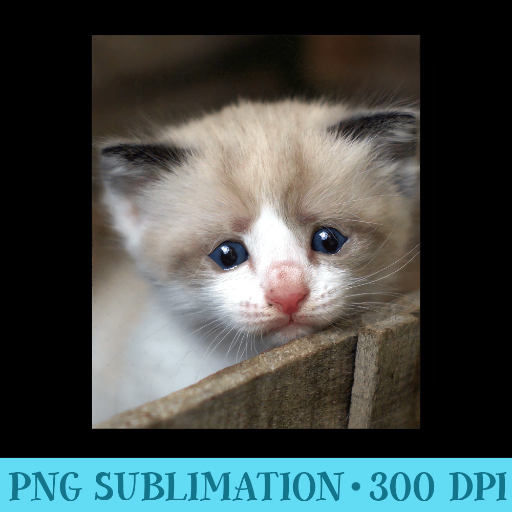 Sad Cat Crying Cat Cute Meme Premium - Stylish Shirt PNG | Inspire Uplift