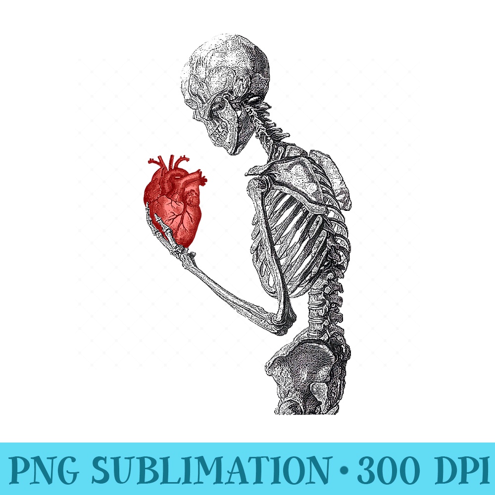 Anatomical Red Human Heart Skeleton Cardiac - High Quality P | Inspire ...