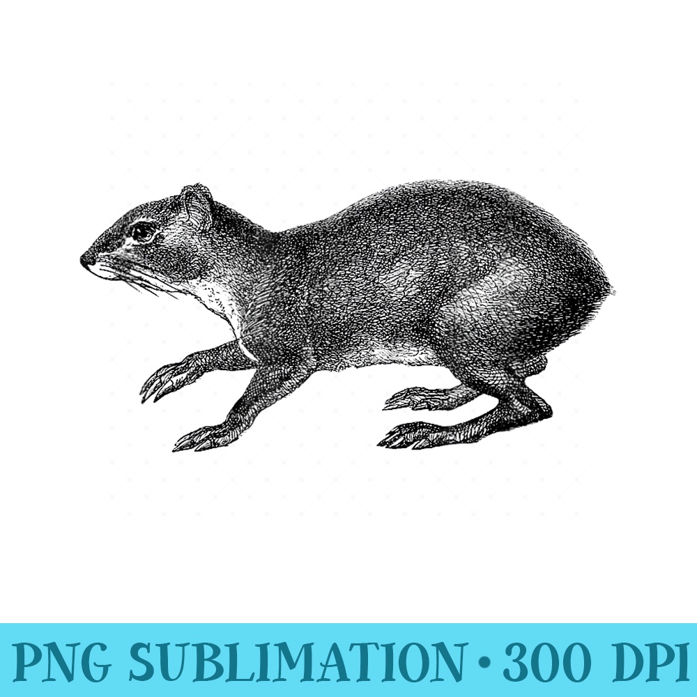 Vintage Agouti Animal Print - Transparent PNG Collection | Inspire Uplift