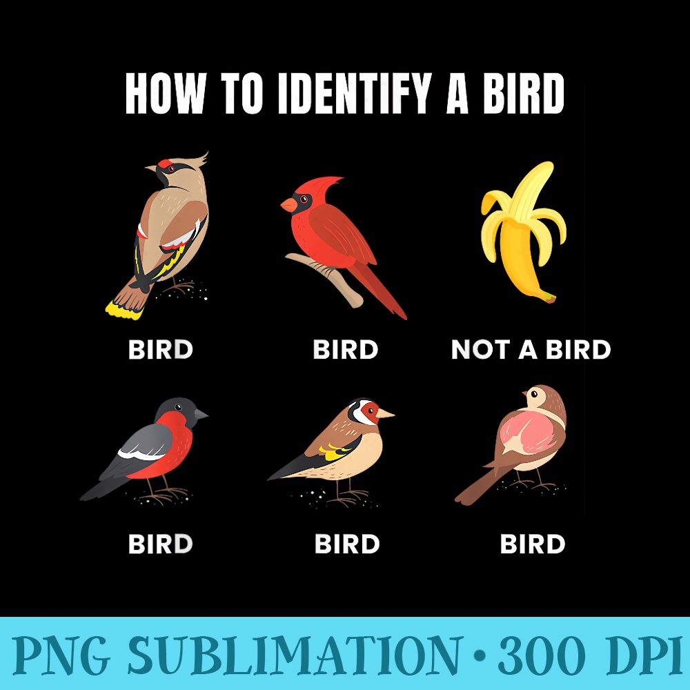 How To Identify A Bird Funny Cute Birds Animal Lover Graphic | Inspire ...