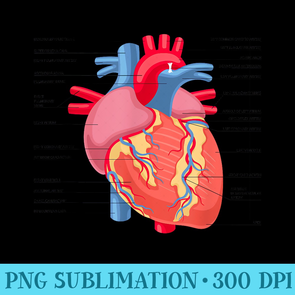 Funny Human Heart Anatomy Anatomical Heart - Mug Sublimation | Inspire ...