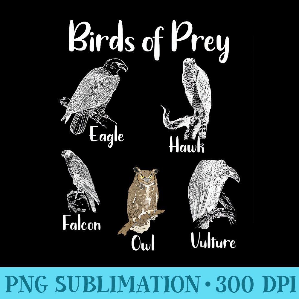 Birds of Prey Eagle Hawk Falcon Owl Vulture - High Resolutio | Inspire ...