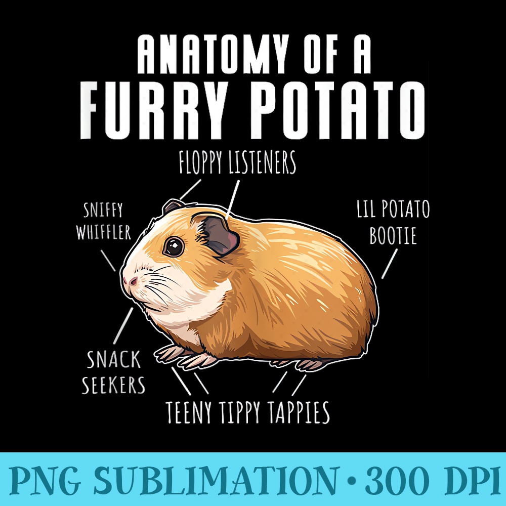Anatomy Of kids Guinea Pig Anatomy Of Furry Potato - PNG Pic | Inspire ...