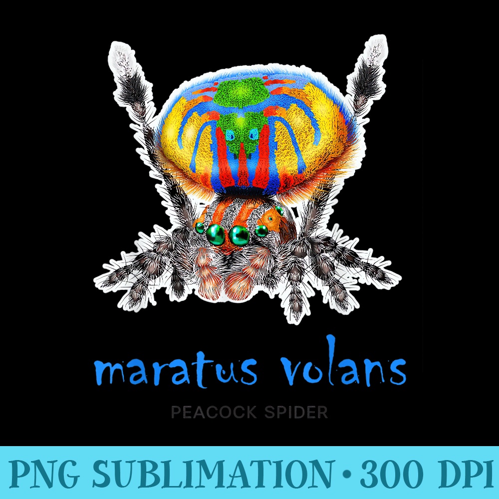 Peacock Spider Maratus Volans - PNG Image Download | Inspire Uplift
