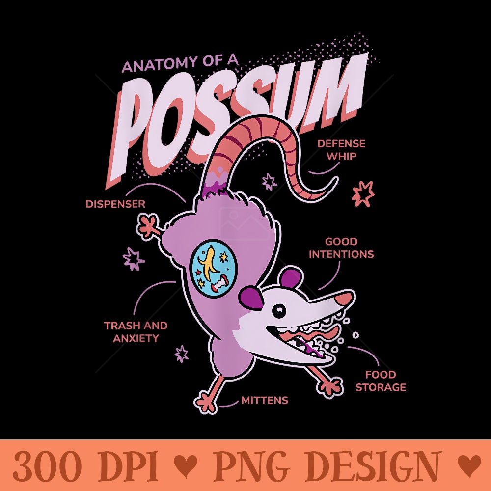 Anatomy of a Possum Funny Opossum Animal Graphic - Digital P | Inspire ...
