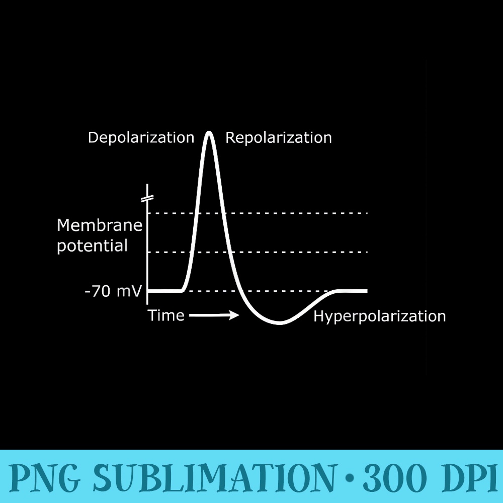 Action Potential Neuroscience, Neurotransmitter, Neuron - PN | Inspire ...