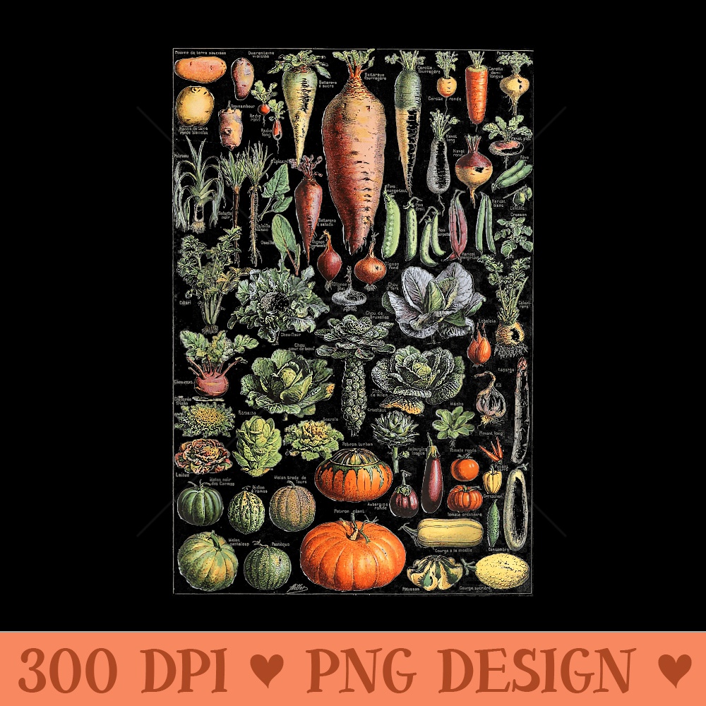 Kitchen Vegetable Identification Reference Chart Botanical - | Inspire ...