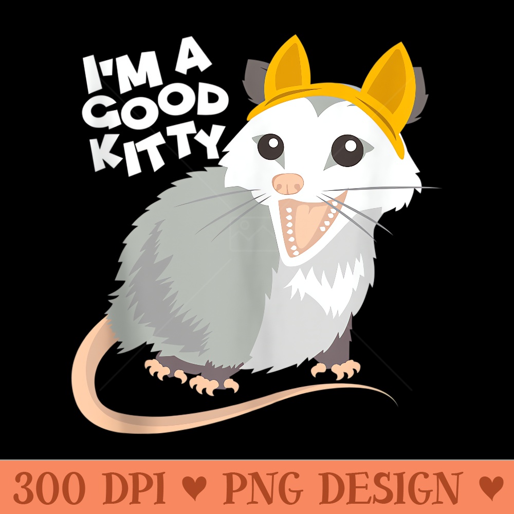 Fake Cat Rat Opossum Possum Im A Good Kitty Funny Pets - Dig | Inspire ...