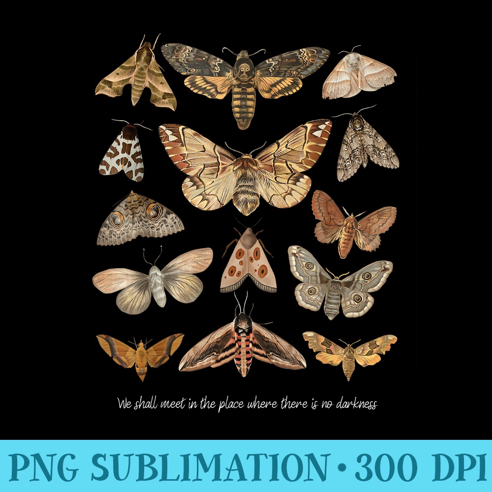 Vintage Moth Goblincore Aesthetic Dark Academia Cottagecore | Inspire ...