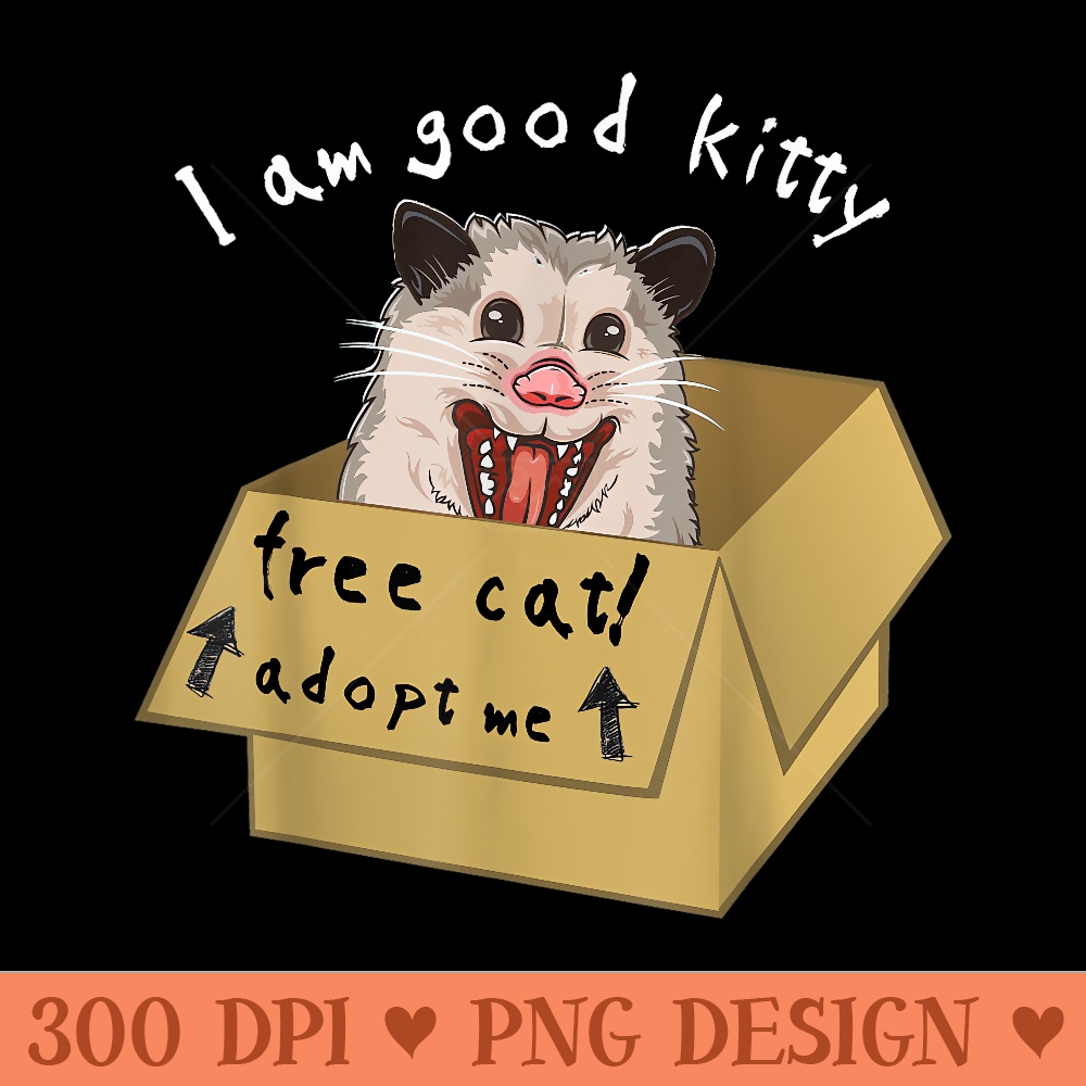 Funny Opossum For Adoption I Good Kitty Stray Cat In a Box - | Inspire ...