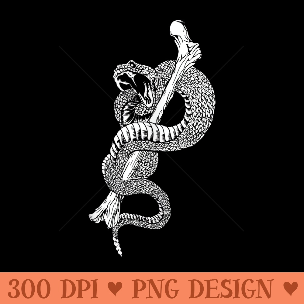 Bone Snake Cobra Rattlesnake Bite Poison Animal Pet - Sublim | Inspire ...