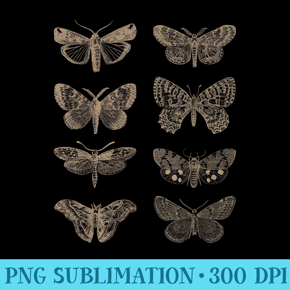 Moth Butterfly Goblincore Cottagecore Whimsigoth Fairycore - | Inspire ...