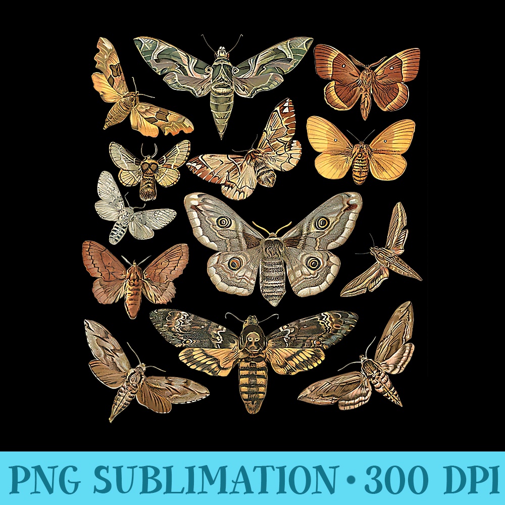 Vintage Moth Cottagecore Goblincore Dark Academia Cool - Tra | Inspire ...