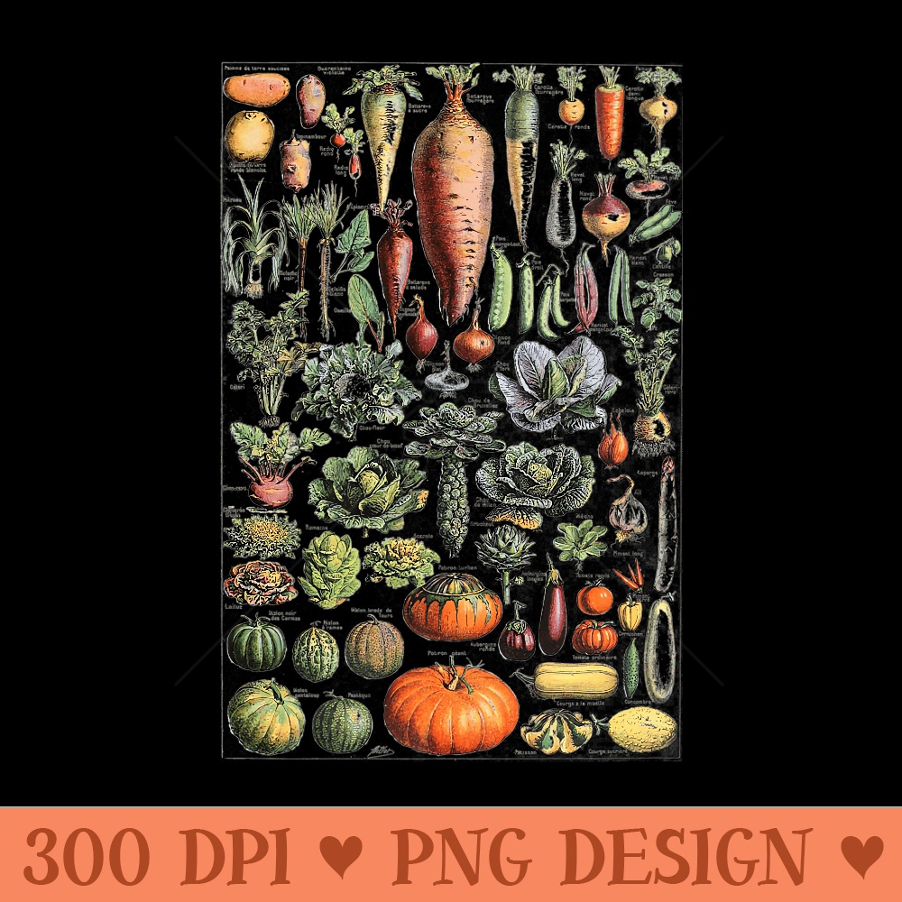 Kitchen Vegetable Identification Reference Chart Botanical P | Inspire ...