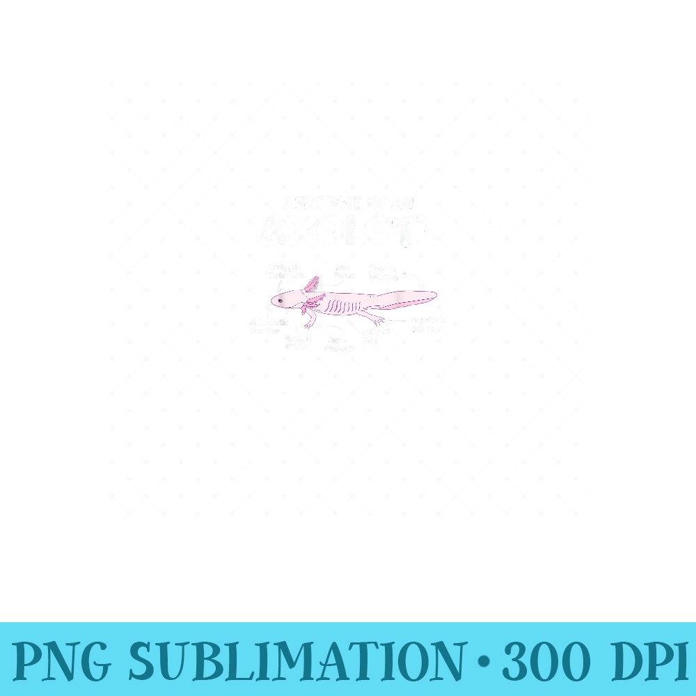 Anatomy Of An Axolotl Axolotls Biology Science Scientist - H | Inspire ...