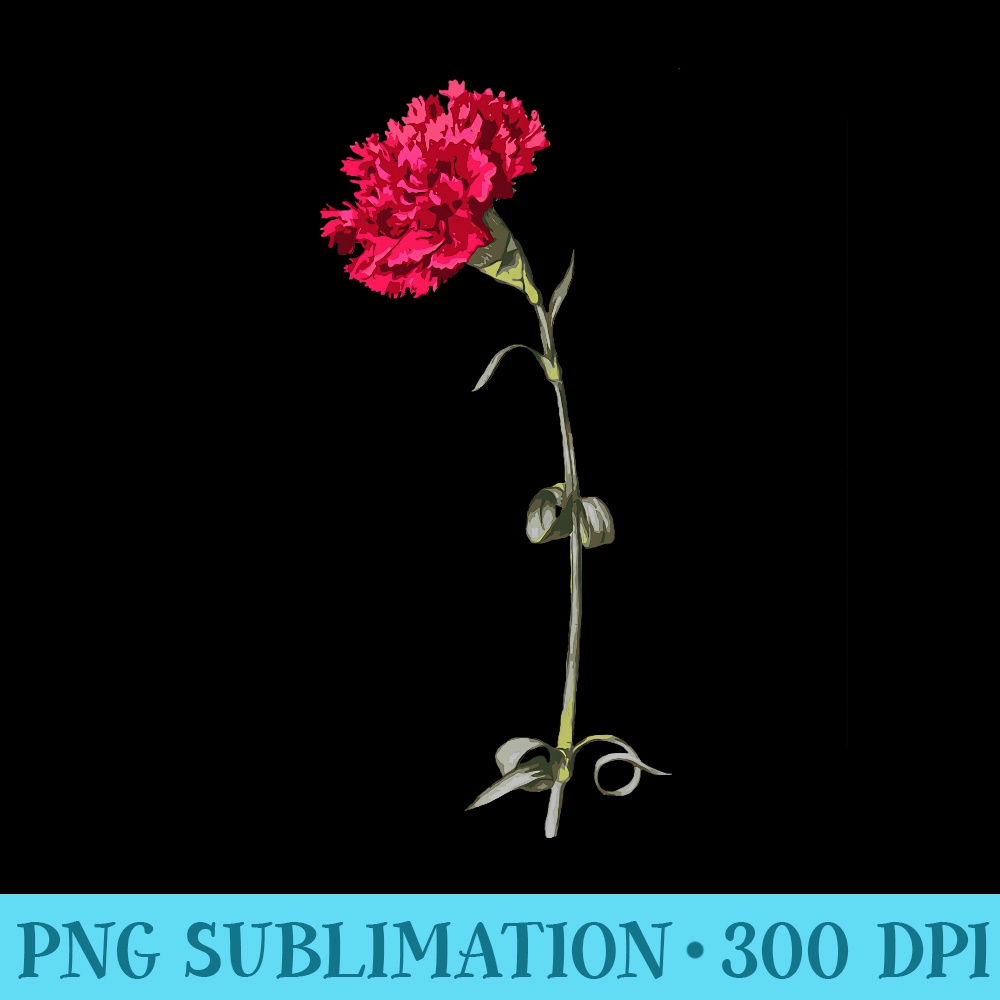 Single Stem Red Carnation Isolated Premium - High Resolution | Inspire ...