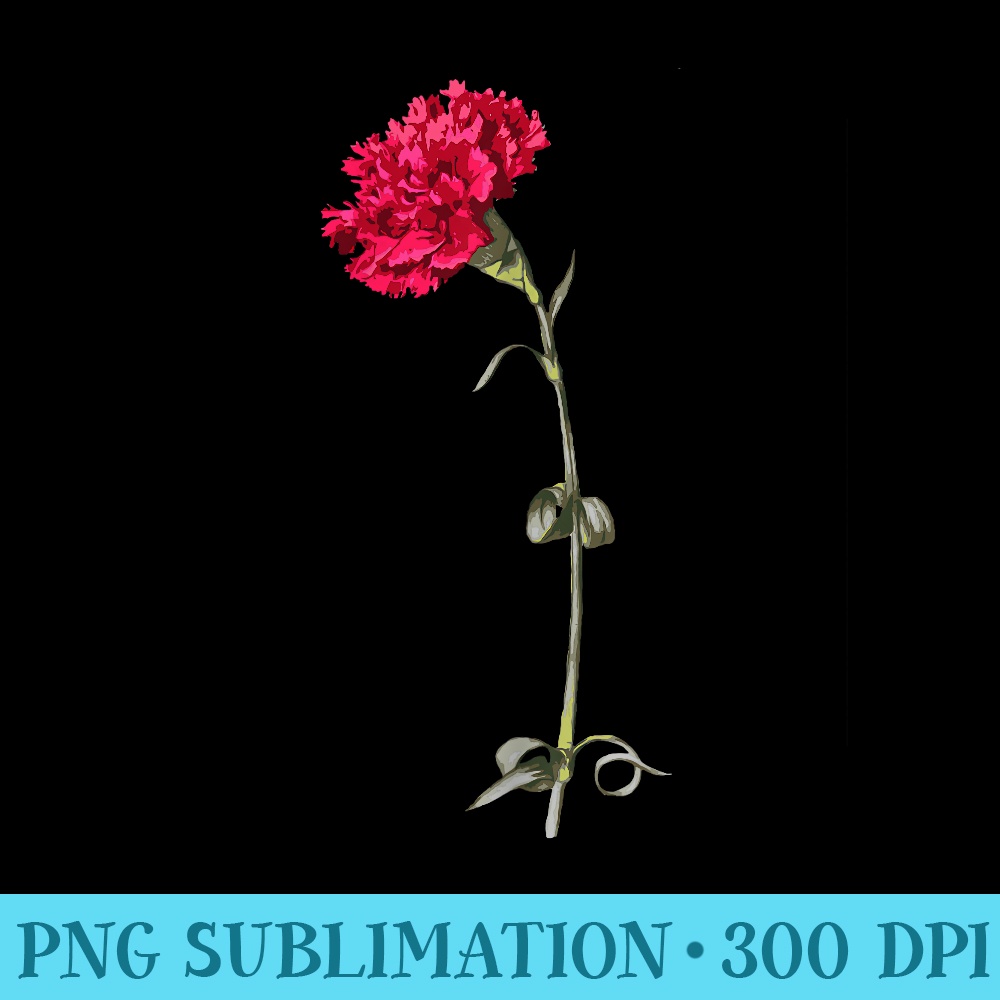 Single Stem Red Carnation Isolated - Printable PNG Graphics - Inspire ...