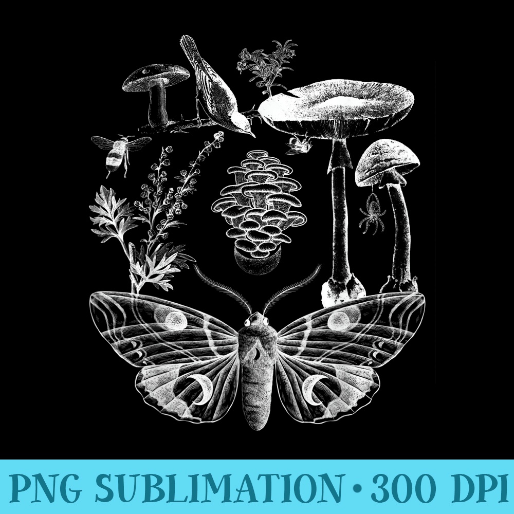 Mycology Cycle Forest Fungi Mushrooms - Shirt Clipart Free P | Inspire ...