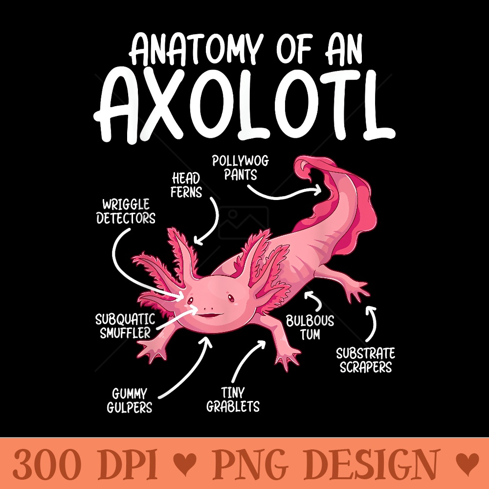Axolotl Anatomy of Axolotl Science Pet Axolotl Lover - Vecto - Inspire ...