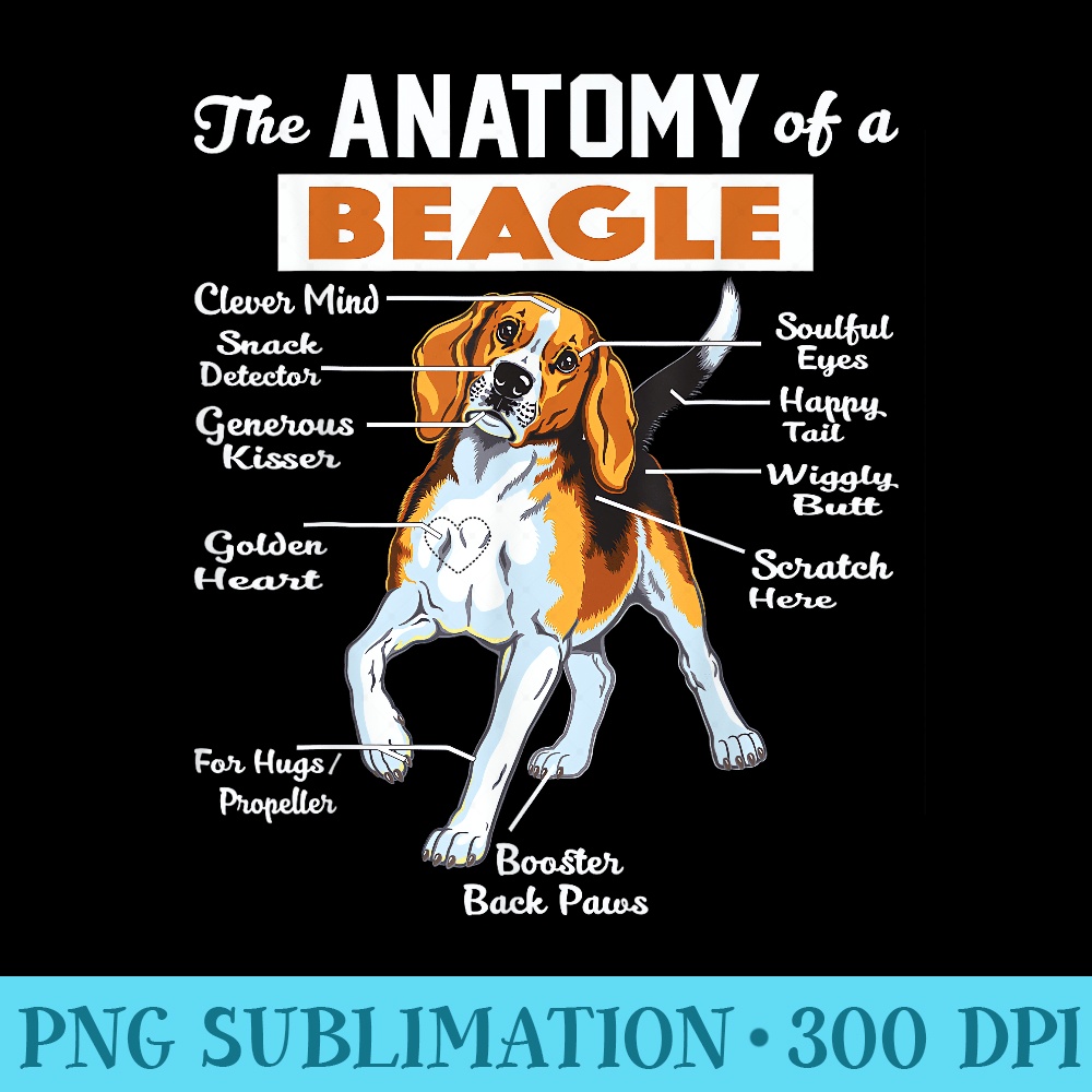 The Anatomy Of A Beagle - High Resolution PNG Download | Inspire Uplift