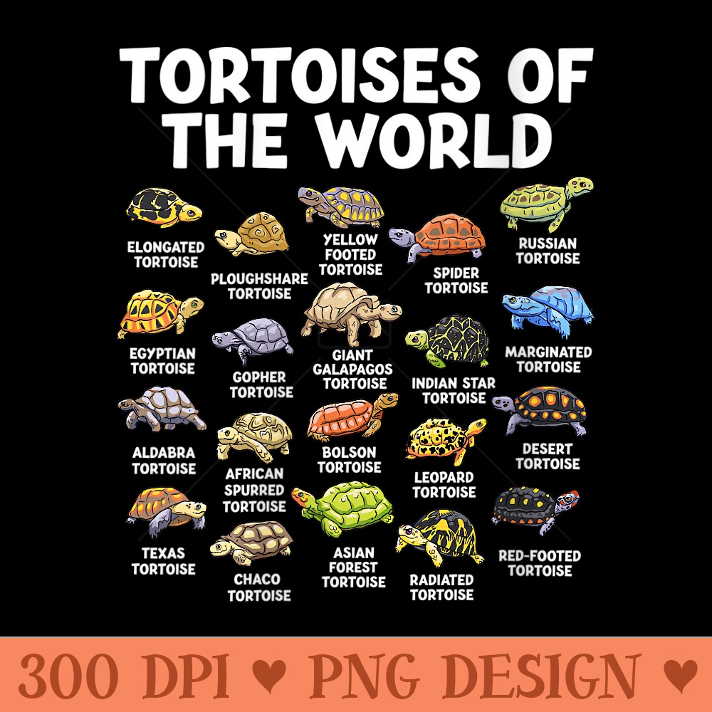 s Tortoises Of The World Kawaii Types Of Turtles Funny Repti | Inspire ...