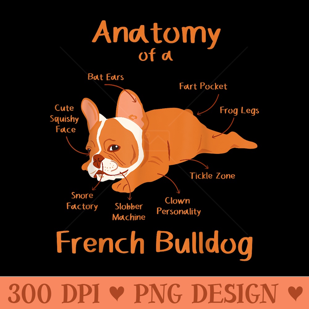 Anatomy Of French Bulldog Clothes Frenchie Outfit Stuff - Hi | Inspire ...
