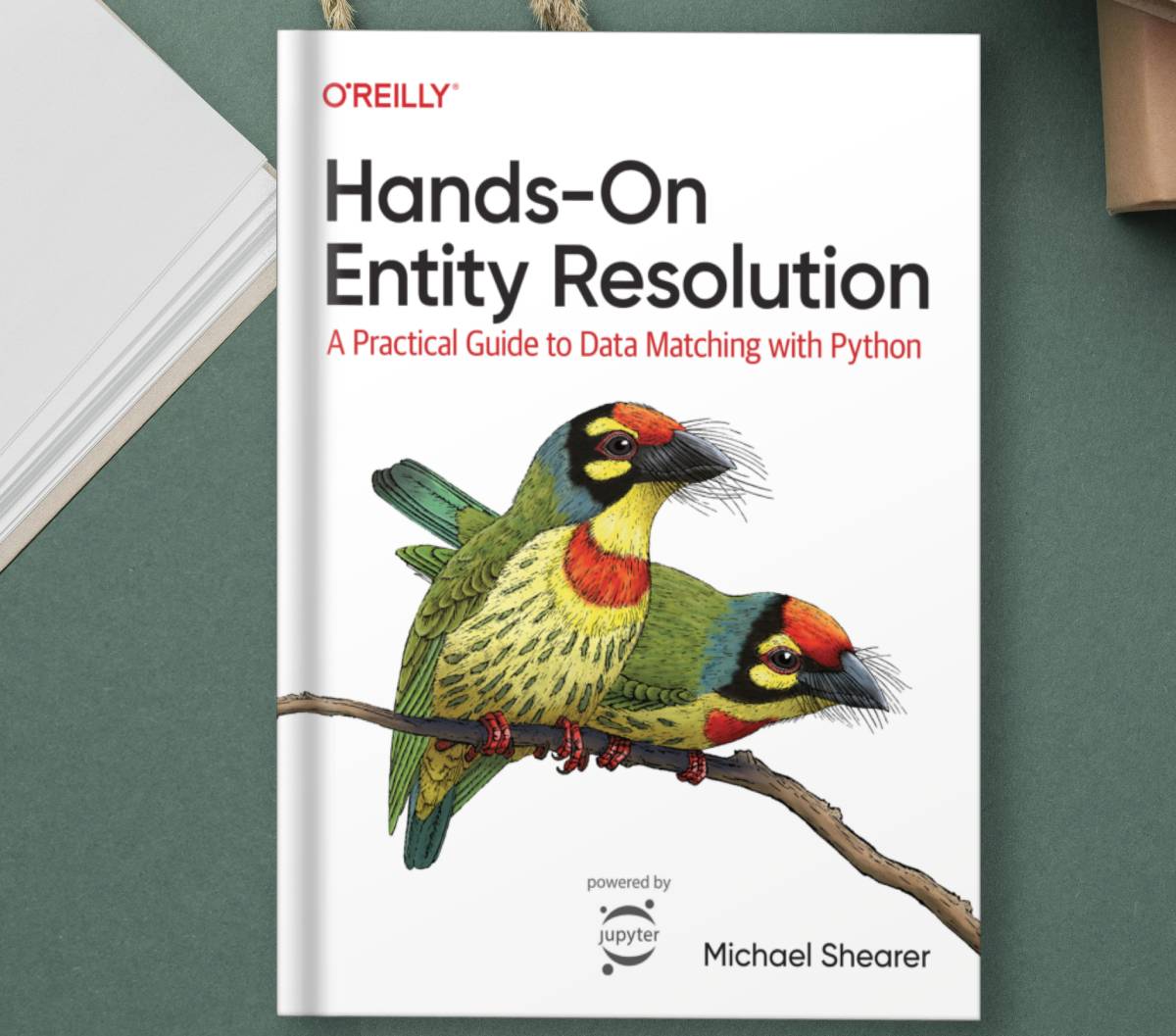 Hands-On Entity Resolution A Practical - Michael Shearer - B | Inspire ...