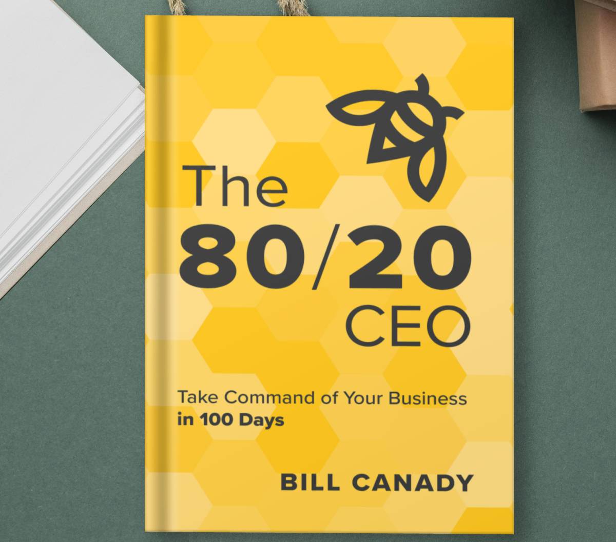 The 8020 CEO Take Command of Your Business Bill Canady - Bes | Inspire ...