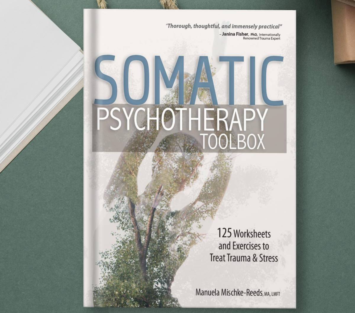 Somatic Psychotherapy Toolbox 125 Worksheets and Exercises M | Inspire Uplift