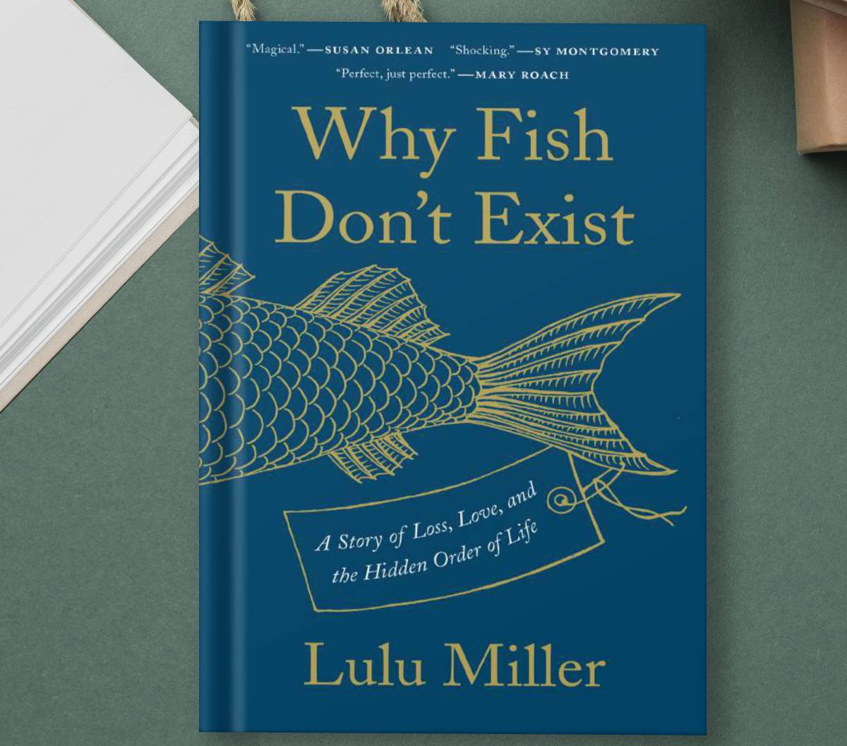 Why Fish Dont Exist A Story of Loss Love and the Hidden Orde | Inspire ...