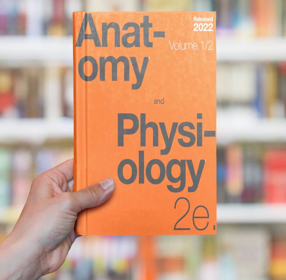 Anatomy and Physiology 2e Volume 12 by J | Inspire Uplift