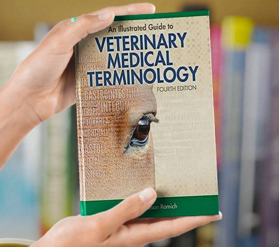 An illustrated guide to veterinary medical terminology Janet | Inspire ...