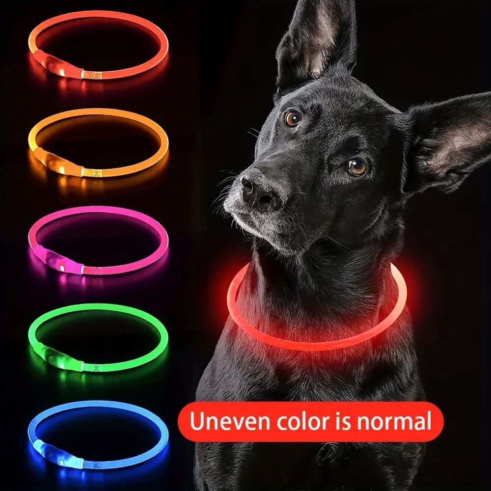 USB Rechargeable LED Dog Collar, Anti lost Safety | Inspire Uplift