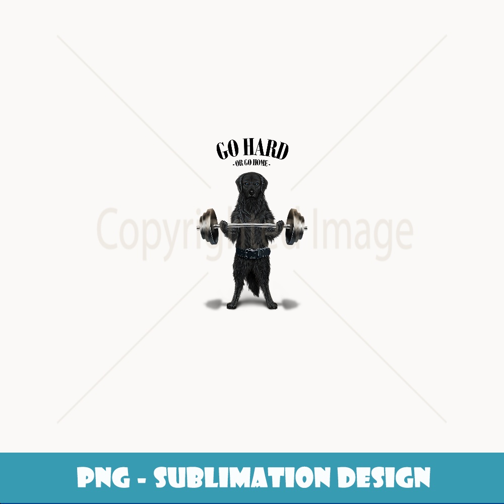 Black Labrador Dog Weightlifting in Fitness Gym - Special Ed | Inspire ...