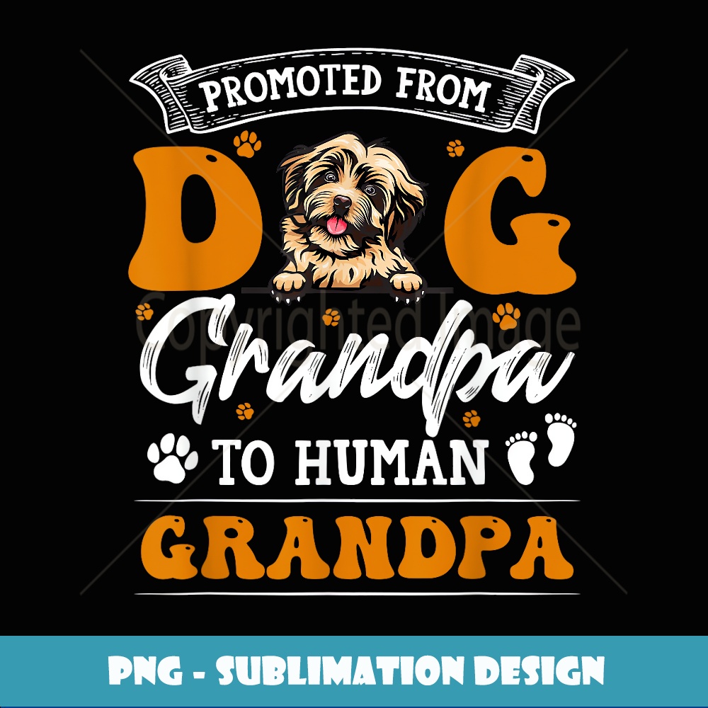 Havanese Dog Promoted From Dog Grandpa o Human Grandpa - Spe | Inspire ...
