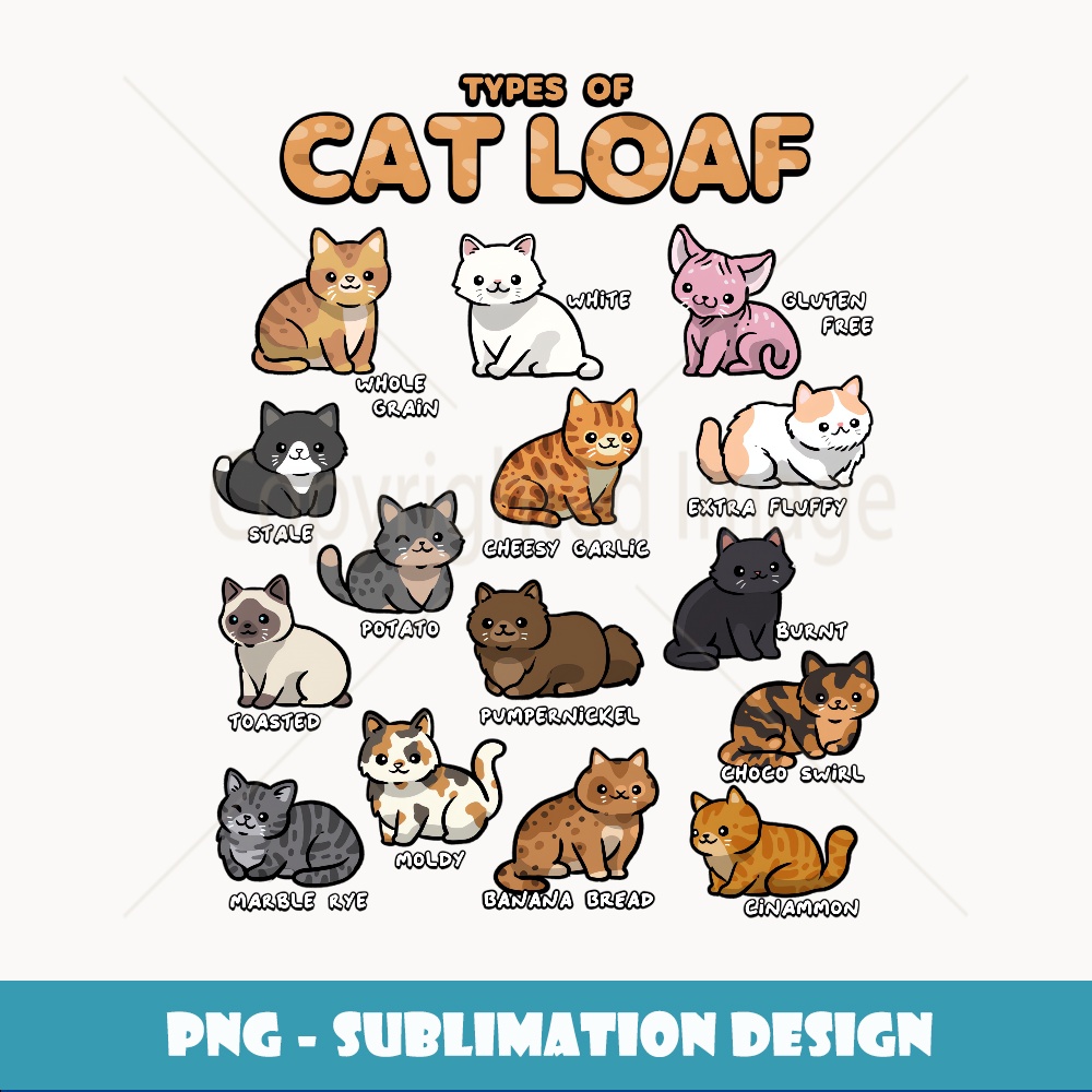 Types of Cat Loaf Cute Kitten Kawaii Cats, Cat Lover - Premi | Inspire ...
