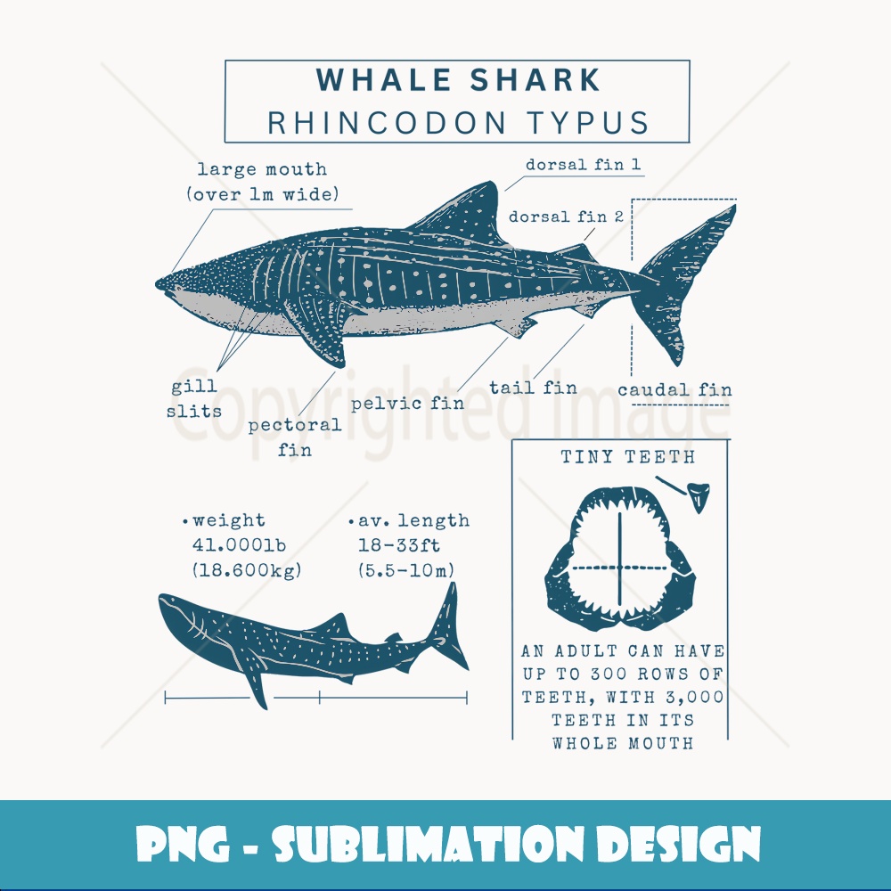Whale Shark Anatomy Marine Biologist Whale Shark Costume - R - Inspire ...