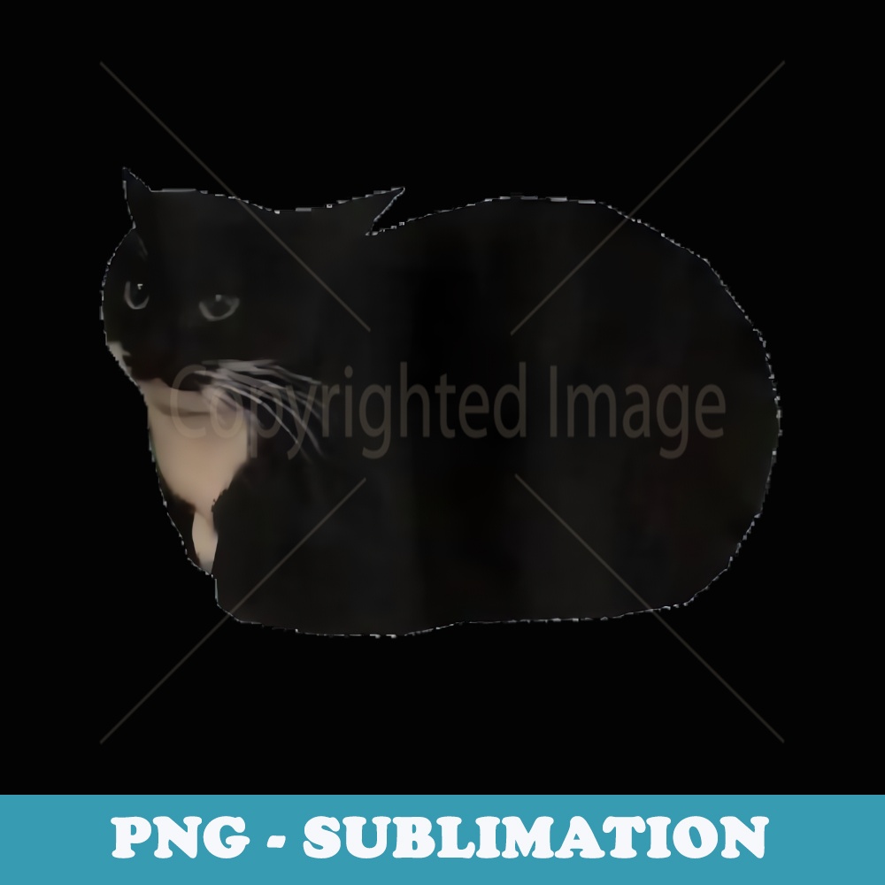 Maxwell The Cat In Pan Meme Popular Internet Meme Christmas | Inspire ...