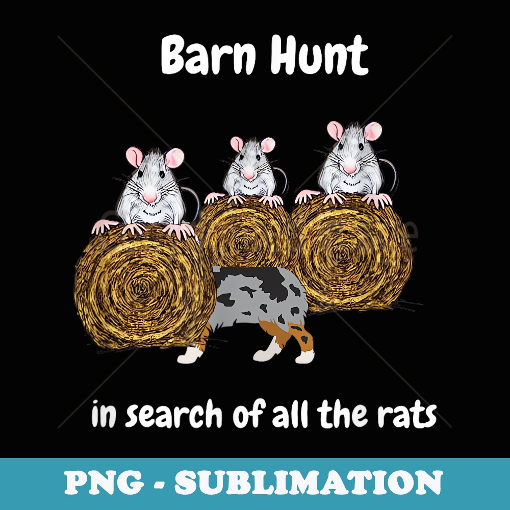 Funny Barn Hunt - in search of the rats with aussie shepherd | Inspire ...