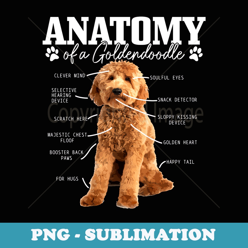 Anatomy Of A Goldendoodle Funny Cute Dog Doodle Mom Dad - PN | Inspire ...