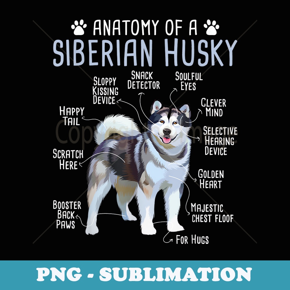Anatomy Of A Siberian Husky - Dog Breeder Pet Trainer Puppy | Inspire ...