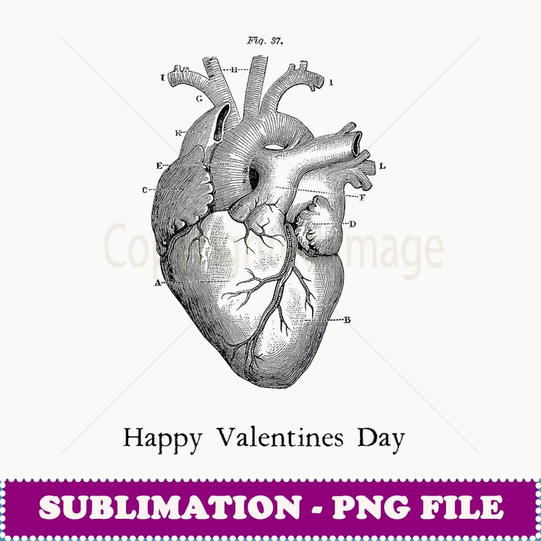 Heart Diagram Anatomical Med Student Valentines Day - High-R | Inspire ...