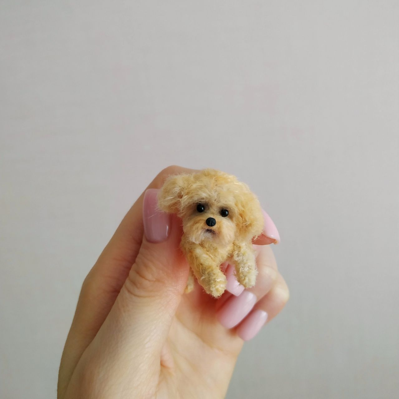 Miniature Shih Poo dog, Mini pcute puppy, Dollhouse miniatur | Inspire ...