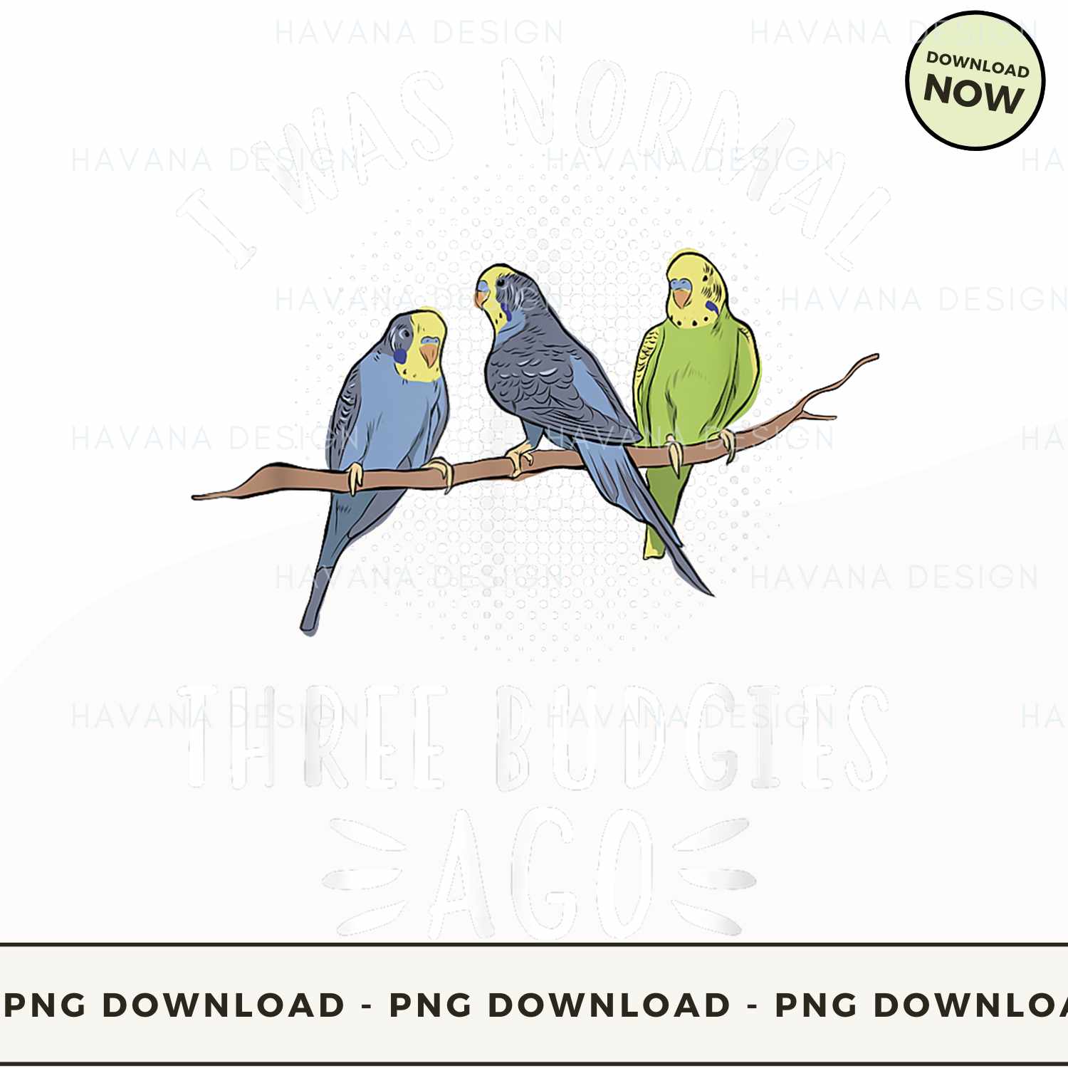 Parakeet Normal Budgies Budgerigar T Shirt 26 High-quality P | Inspire ...