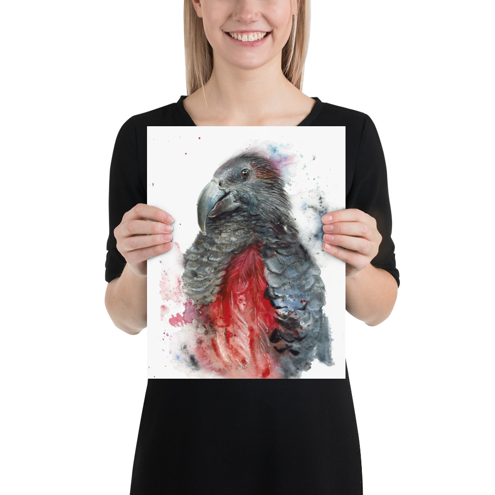 Bird Pesquet's Parrot Poster 11*14 in | Inspire Uplift