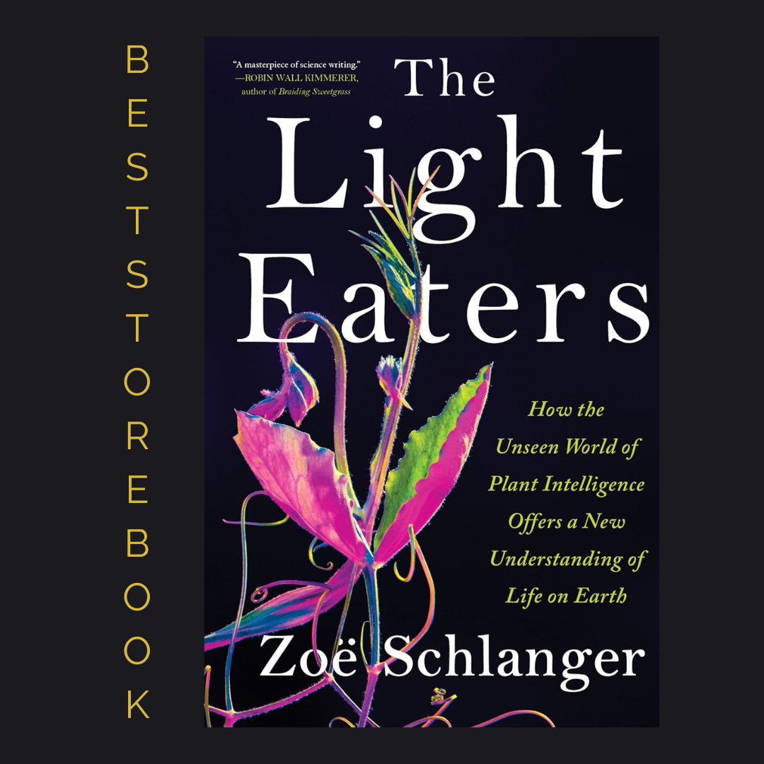 The Light Eaters | Inspire Uplift