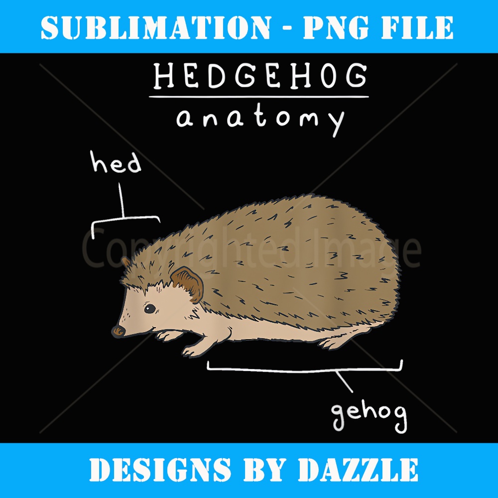 Hedgehog Anatomy Funny Anatomy of a Hedgehog, Hedgehog Gifts | Inspire ...
