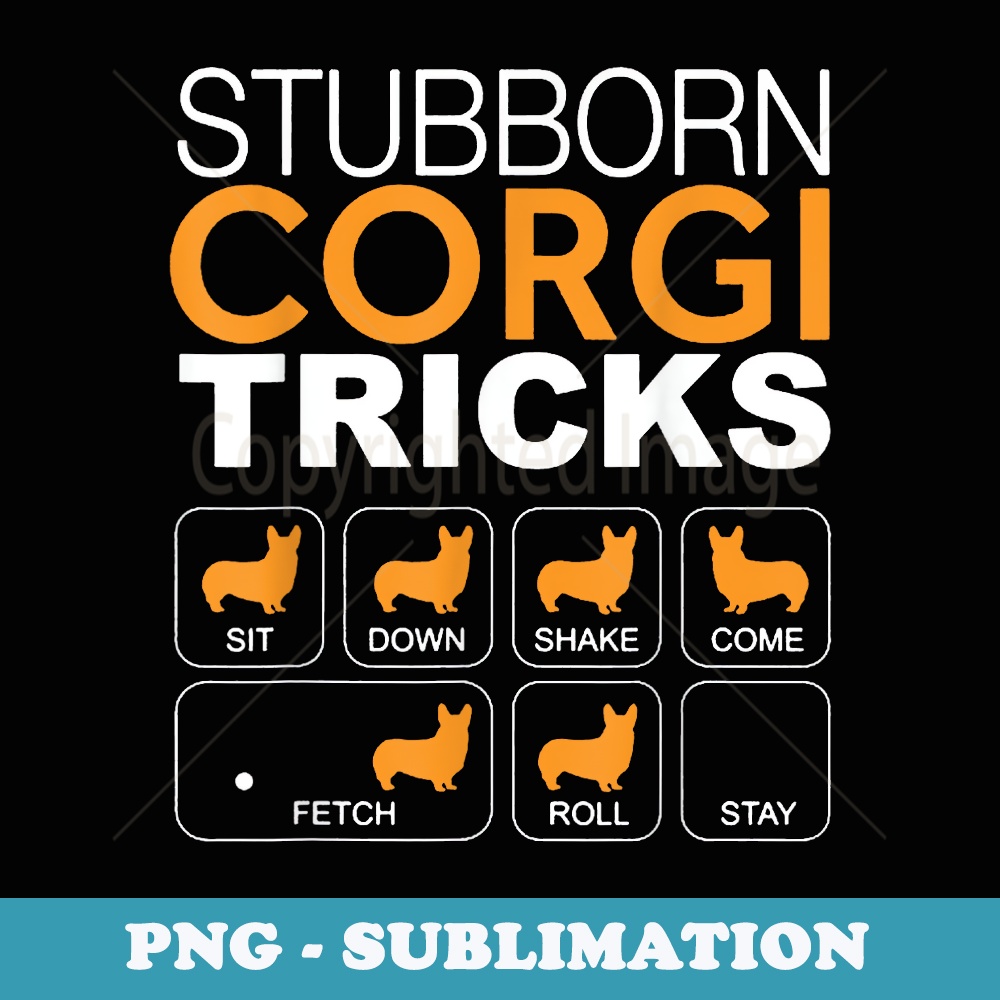 Stubborn Corgi Tricks Sit Down Shake Come Fetch Roll Stay - | Inspire ...
